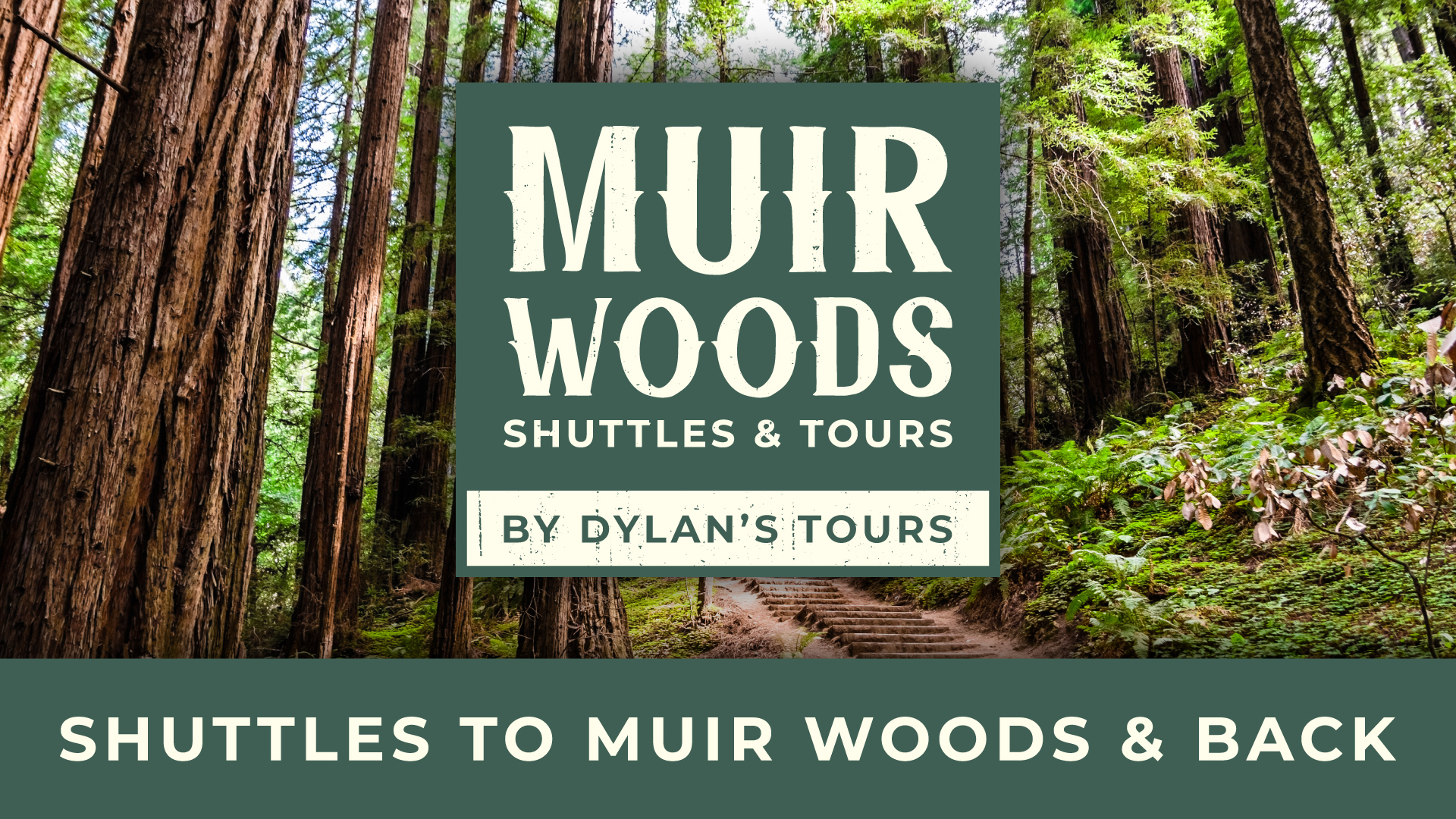 Muir Woods Shuttles & Tours: The Only Guided Transportation To & From ...
