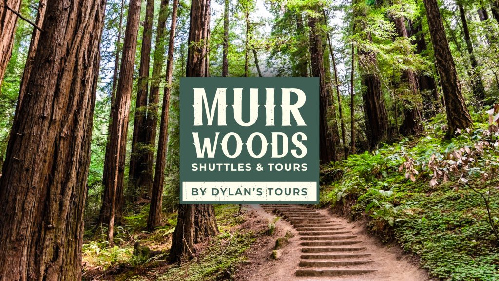 Why Muir Woods Shuttle & Tours Is The Best Way To Get To Muir Woods ...